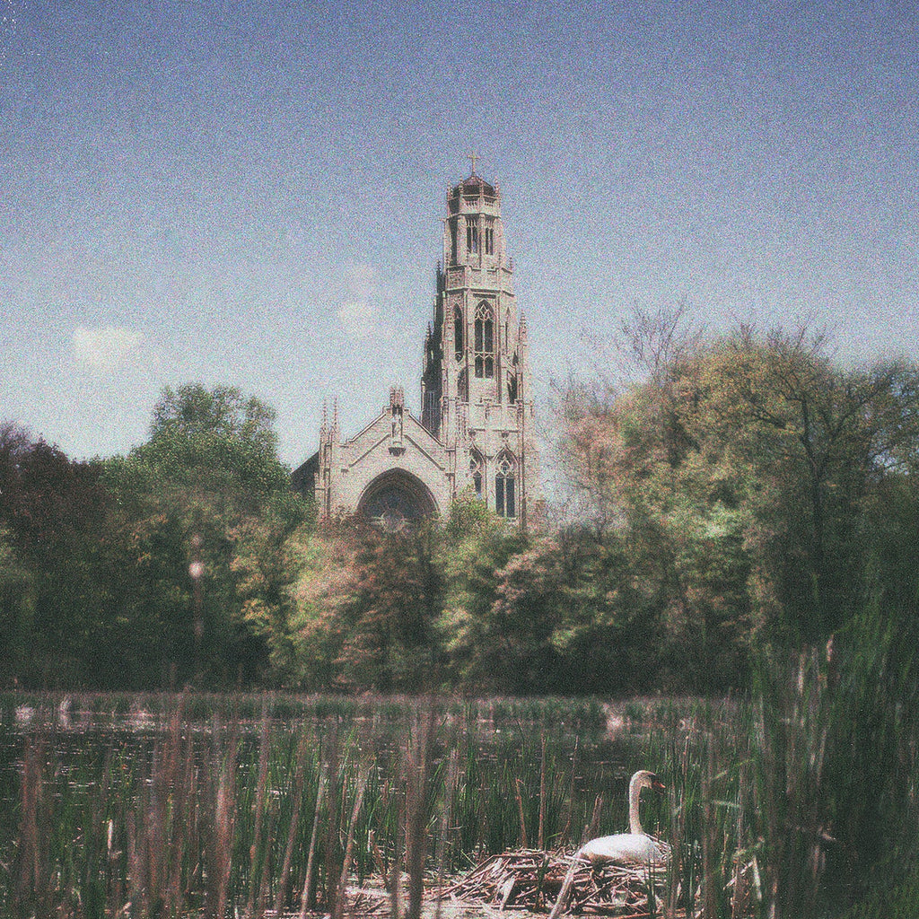 A Mourning Star "Necessity Has Clipped My Wings" 7" • Devil Dog Distro