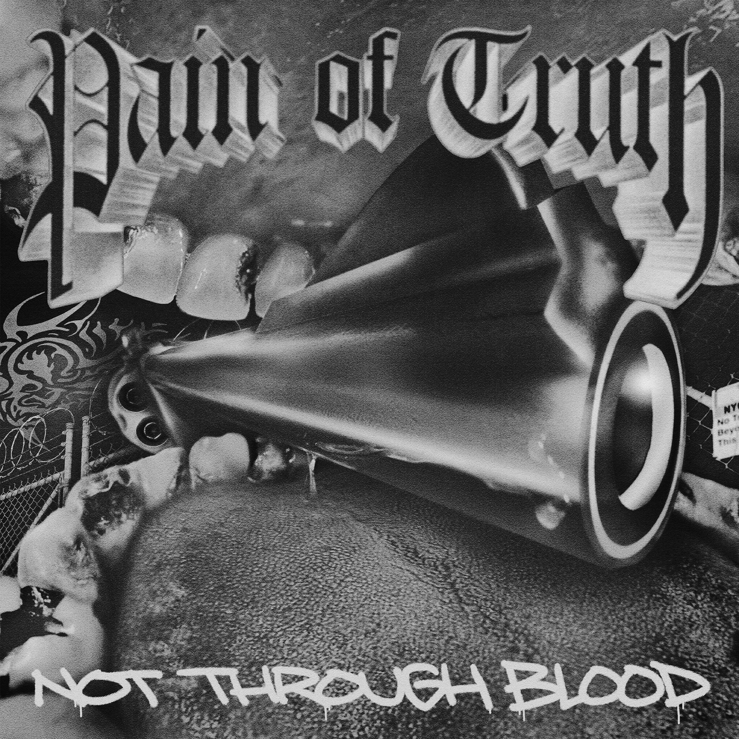Pain Of Truth "Not Through Blood" LP • Devil Dog Distro