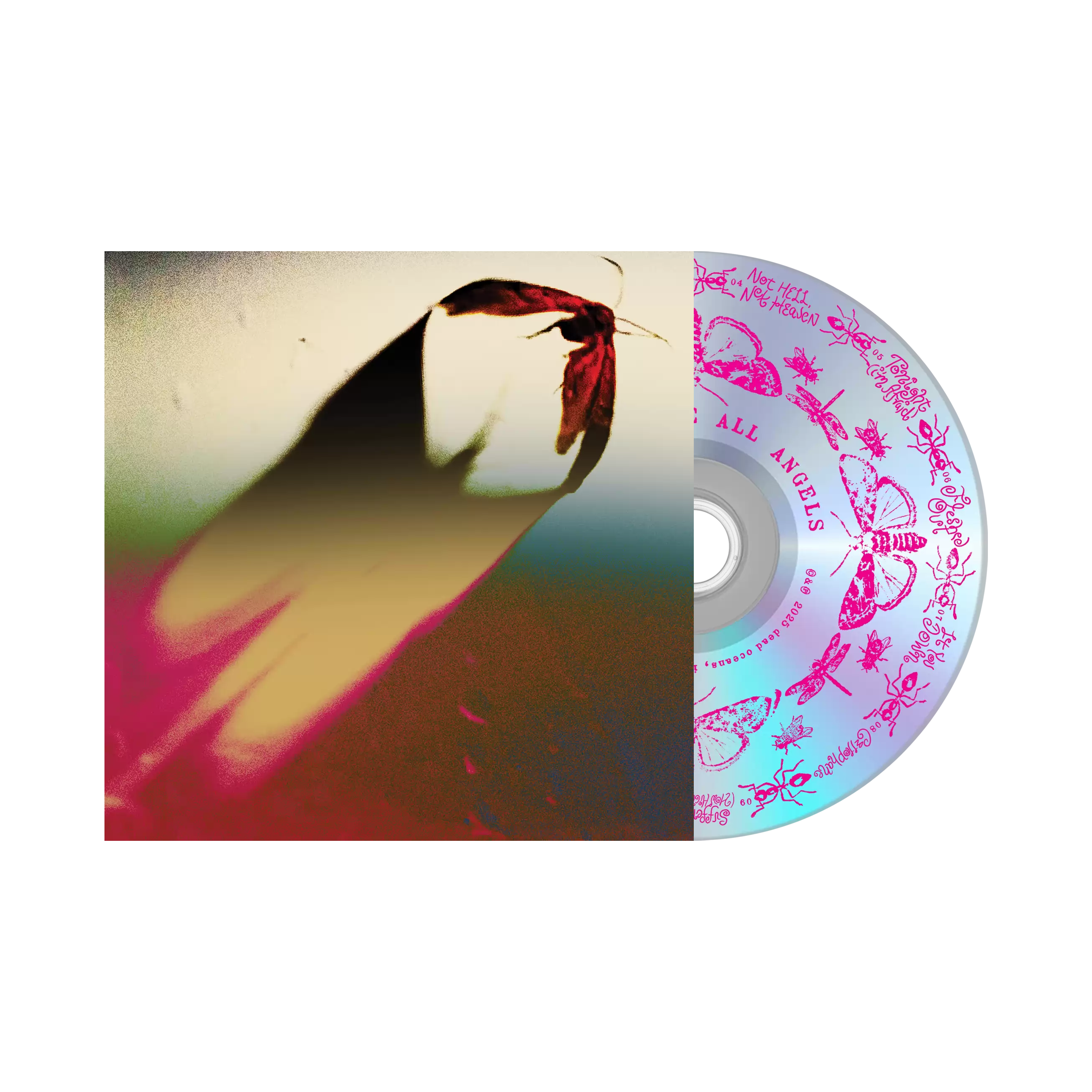 Scowl "Are We All Angels" CD • Devil Dog Distro