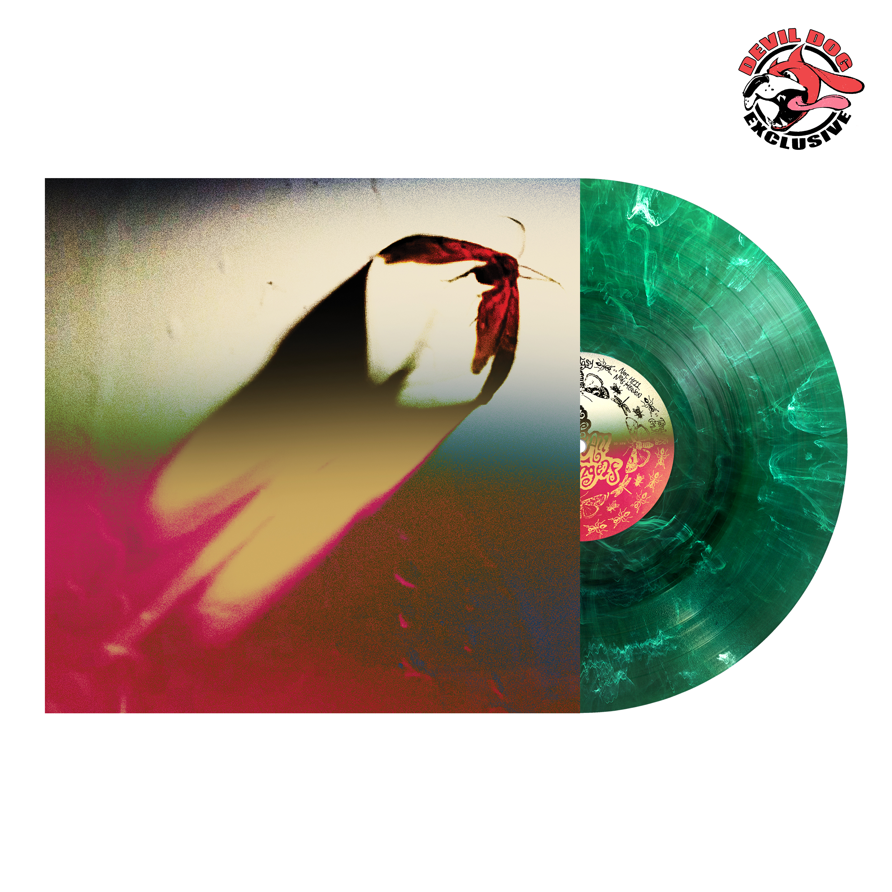 Scowl "Are We All Angels" LP (Devil Dog Exclusive) • Devil Dog Distro